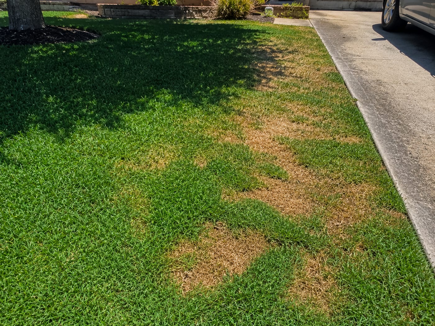 Why Is My Grass Turning Yellow? Complete Diagnostic Guide (2026)