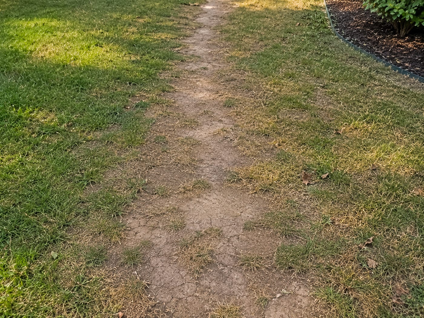Why Is My Grass Turning Yellow? Complete Diagnostic Guide (2026)