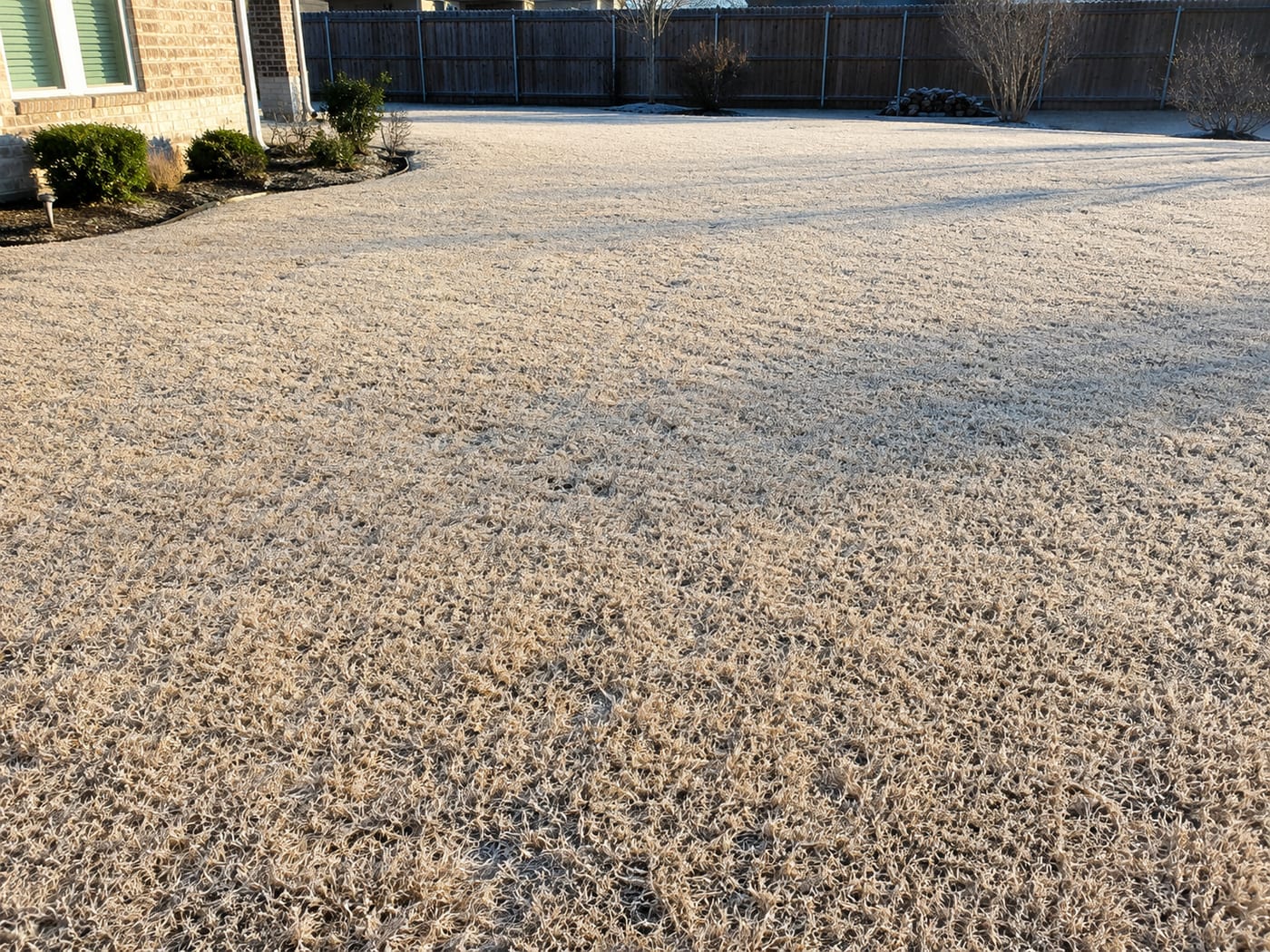 Why Is My Grass Turning Yellow? Complete Diagnostic Guide (2026)